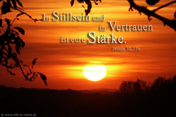 Größtes deutschsprachiges E-Card Archiv